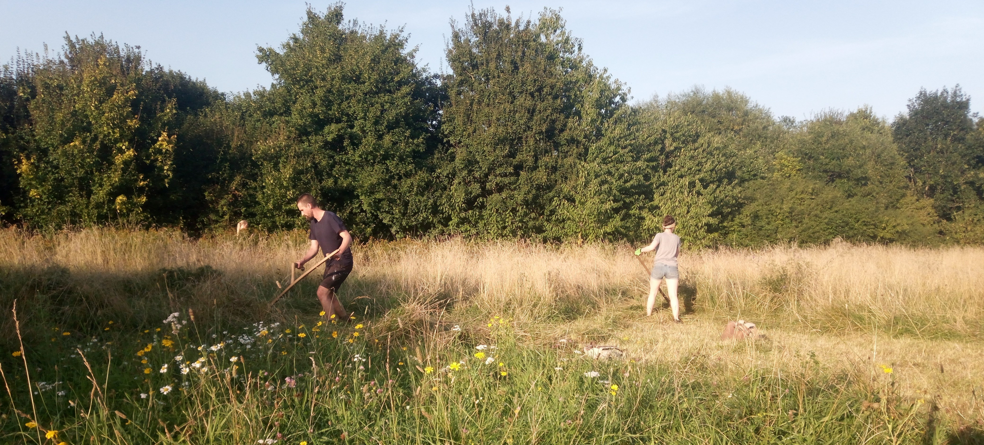 Green Corridors Scythe Fest - St Nicks